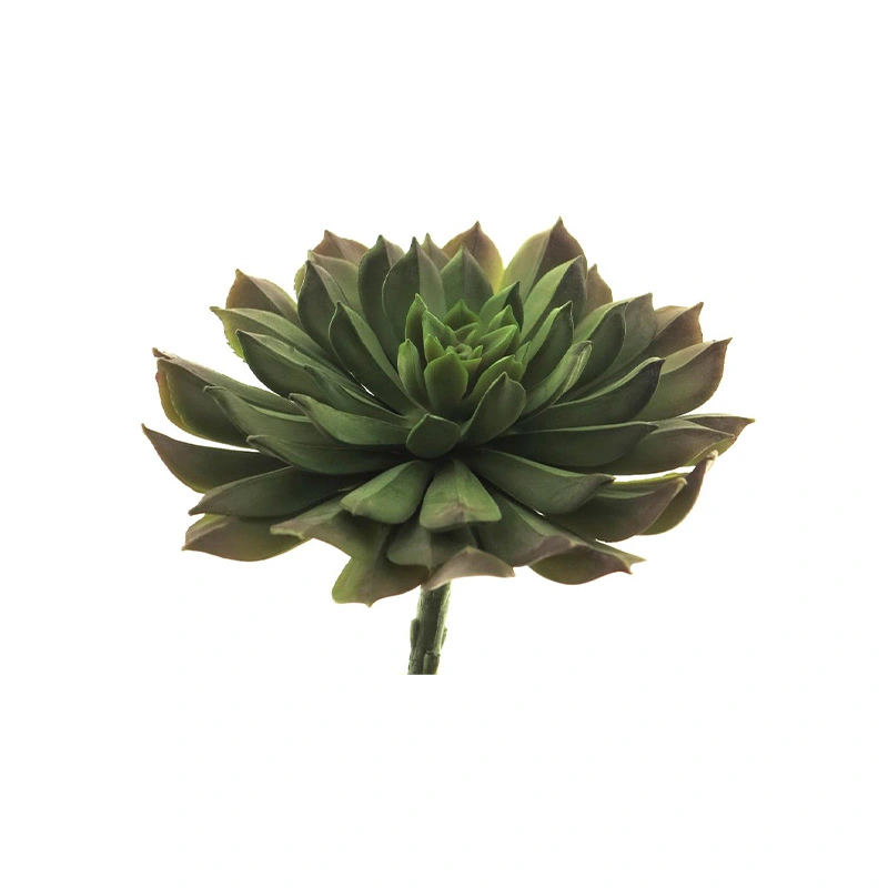Kunstplant Aeonium Pick Groen - 15 cm| De Boet