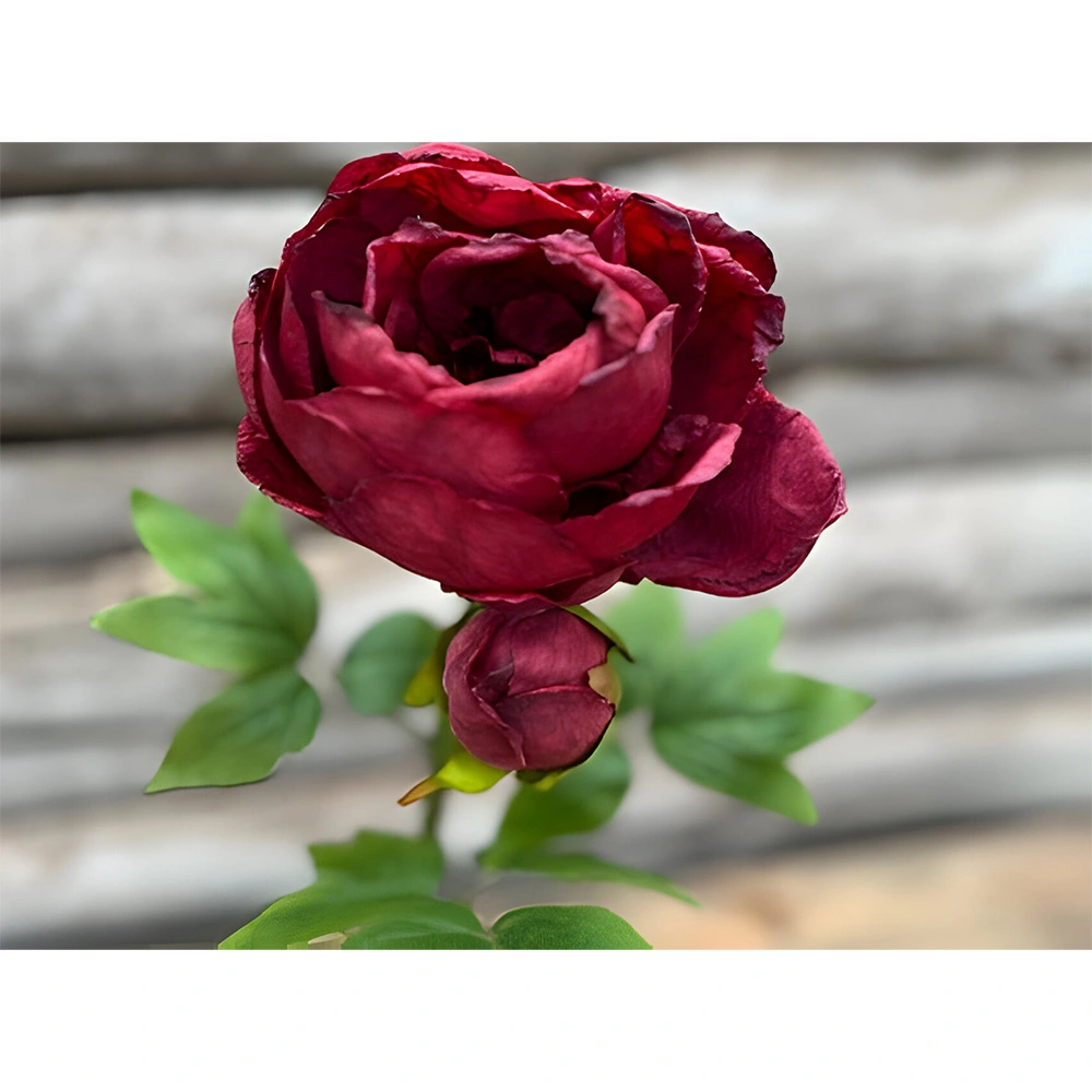 Kunstbloem Enkele Pioenroos - Rood | Tuincentrum De Boet