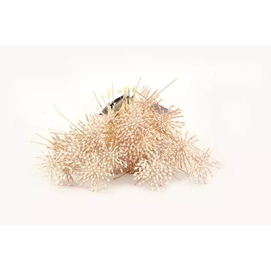 Kunst Tak Dille Groot - Creme | Tuincentrum De Boet